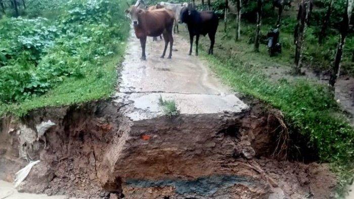 Hujan Deras di Kabupaten Sergai Memutus Akses Jalan Antar Kecamatan di ...