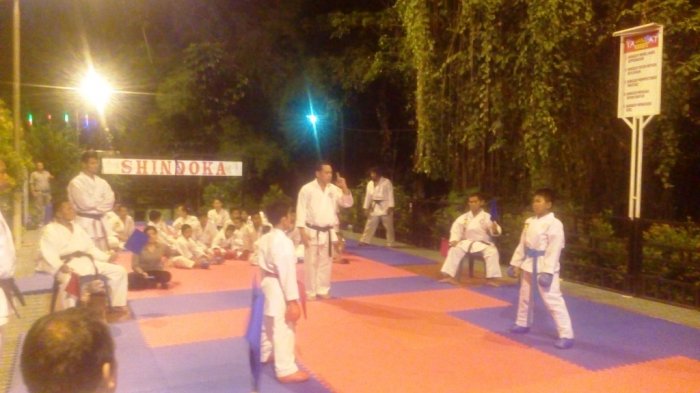 Shindoka Tingkatkan Interaksi Anak - Tribun-medan.com