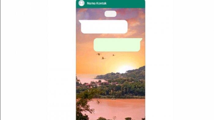 BEGINI Cara Ubah Background WhatsApp tanpa Menggunakan Aplikasi ...