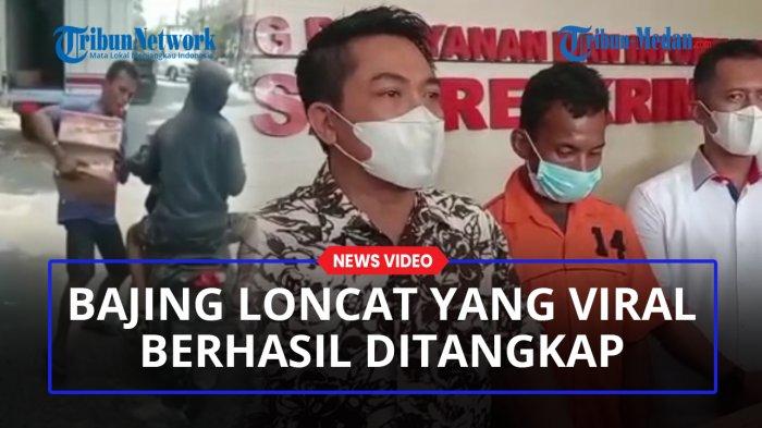 Pelaku Bajing Loncat yang Viral di Medsos Berhasil Ditangkap dari ...