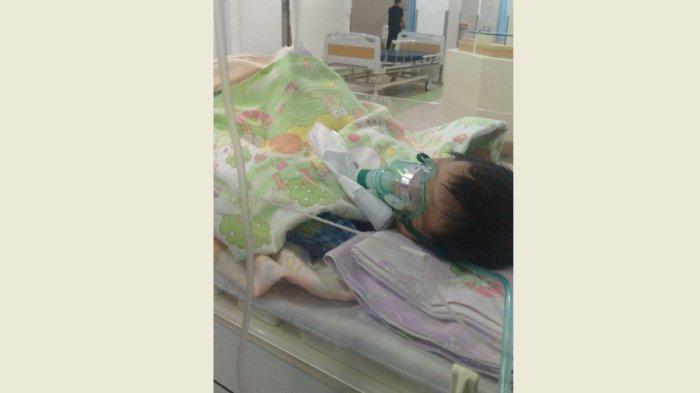 Orangtua yang Bayinya Lahir Usus di Luar Perut Kebingungan Cari Biaya ...