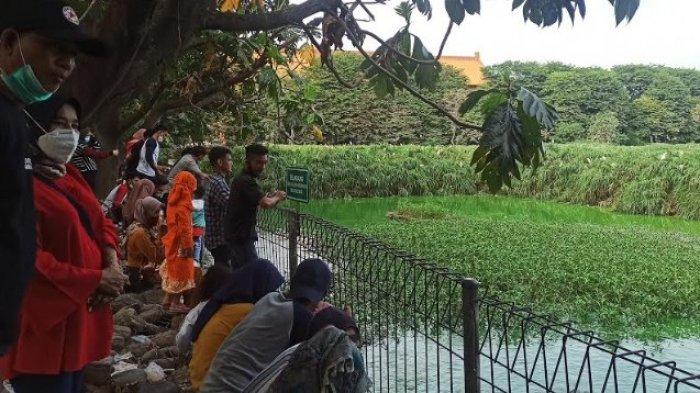Taman Cemara Asri Medan Dalchaebi