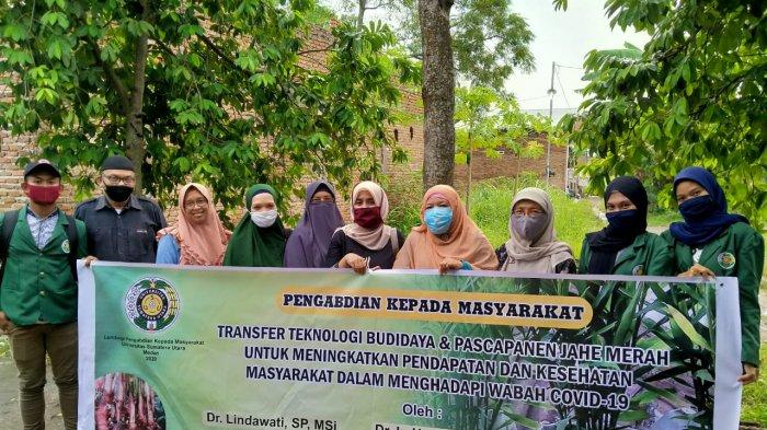 LPPM USU Dampingi Pelaku UMKM Budidaya Jahe Merah - Tribun-medan.com