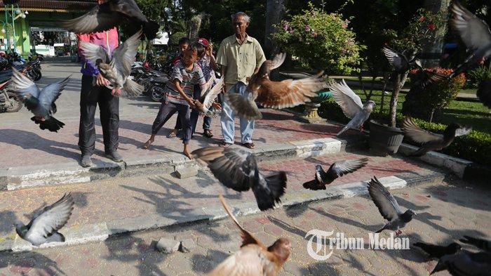 FOTO-FOTO Ratusan Burung Merpati Hiasi Lapangan Merdeka Medan dan ...
