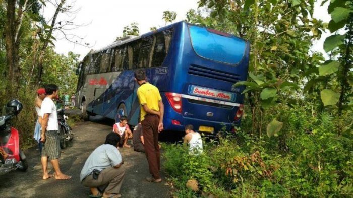 Bus Pariwisata Dibawa Mahluk Gaib ke Jalan Sempit, Sopir Sadar Setelah ...
