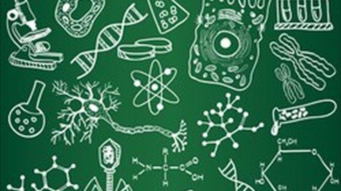 Materi Belajar Biologi: 18 Cabang Ilmu Biologi dan Pengertiannya ...
