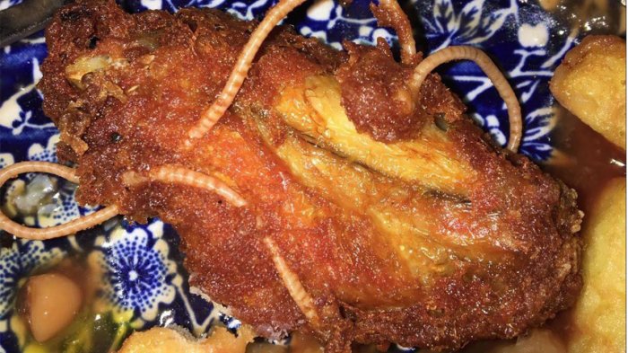 Perempuan Ini Terkejut Lihat Cacing 25 Cm Ada di Ayam Goreng yang Mau ...