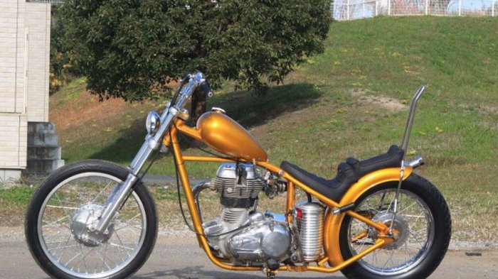 WOW, Presiden Jokowi Beli Sepeda Motor Chopper, Untuk Apa Pak? - Tribun ...