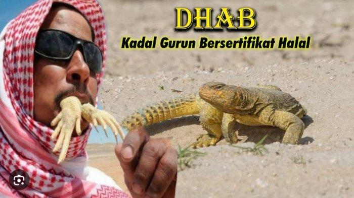 Halal, Kadrun atau Dhab Dimakan Orang Arab, Tapi Tidak Dimakan Nabi Muhammad - Tribun-medan.com