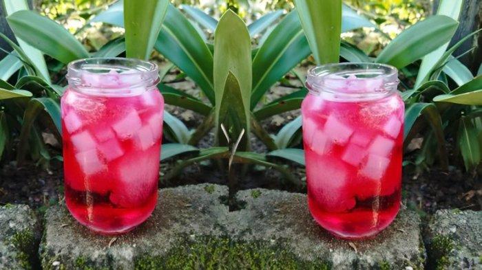 Resep Es Fanta Nata De Coco, Minuman Segar yang Gampang Disajikan ...