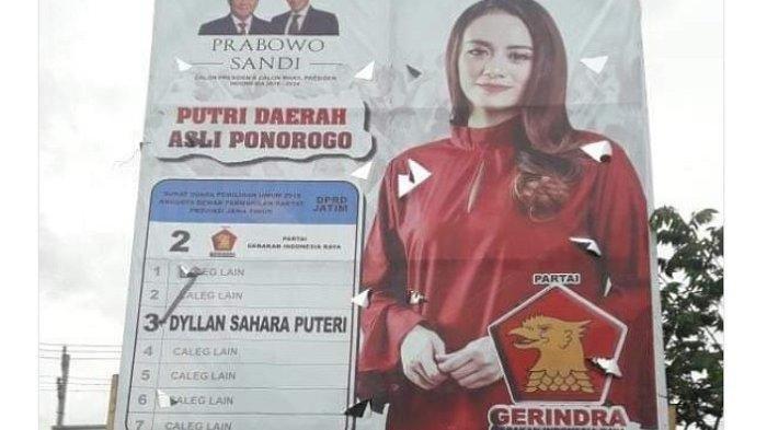 Biodata Dylan Sahara, Caleg Gerindra yang Dekat dengan Prabowo-Sandi ...