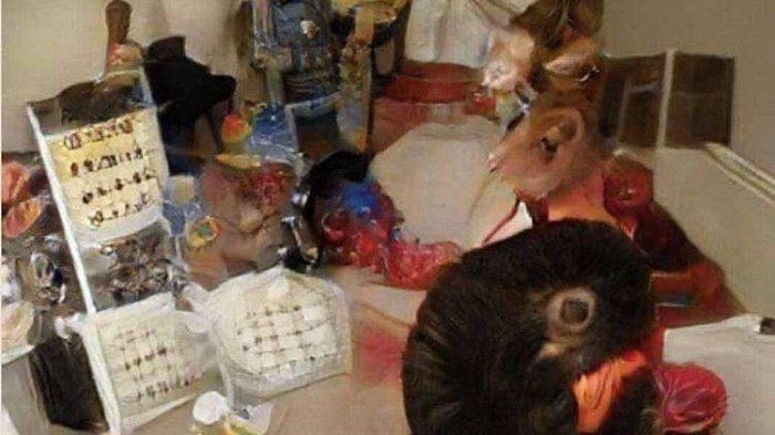 Viral Foto Misterius, Ini Penjelasan Psikiater Mengapa Bikin Banyak ...