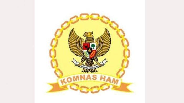 Komnas HAM: Pembentukan, Tujuan, Fungsi, Pedoman, dan Wewenang Komnas HAM - Tribun-medan.com