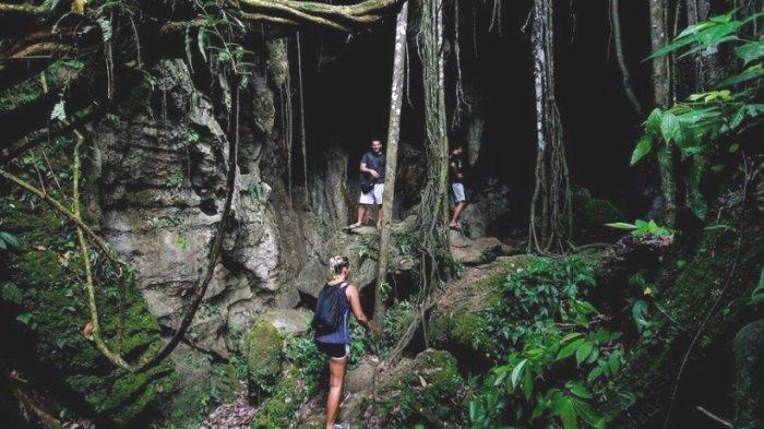 Goa Kampret, Lokasi Wisata di Langkat yang Tawarkan Keindahan Gua ...