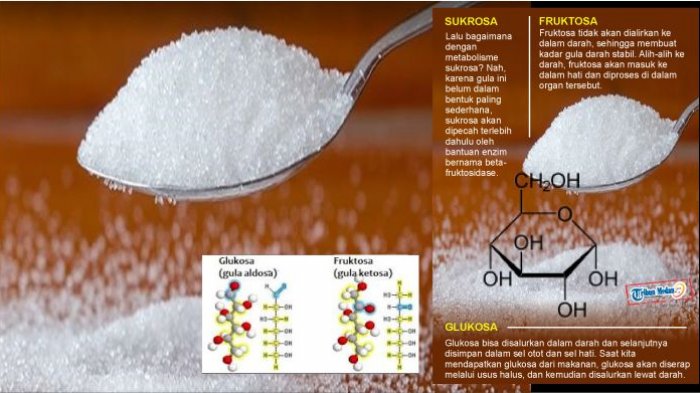 Sama-Sama Gula, Apa Bedanya Sukrosa, Glukosa, Fruktosa? - Tribun-medan.com