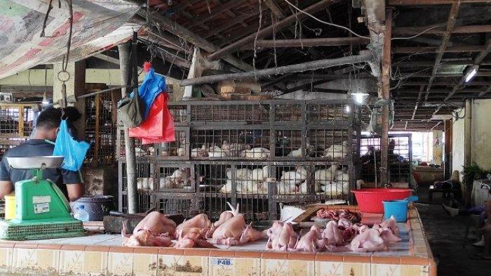 Harga Daging Ayam Potong Kini Mulai Turun, Berikut Harga Terbaru di ...