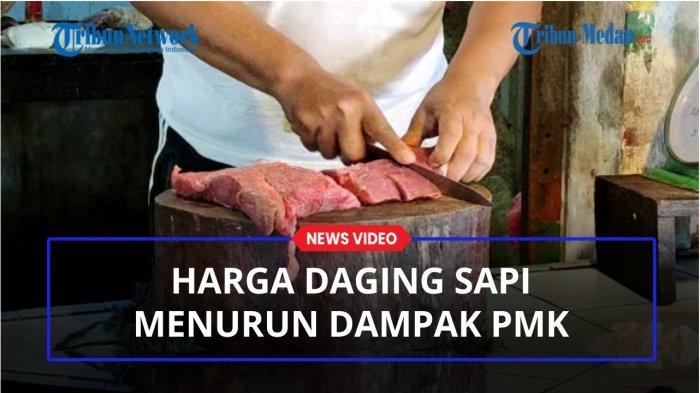 HARGA Daging Sapi di Kabupaten Asahan Menurun Dampak PMK - Tribun-medan.com