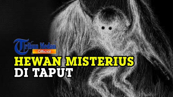 Bupati Nikson Nababan Angkat Bicara, Ada Warga Percaya Darah Ternak ...