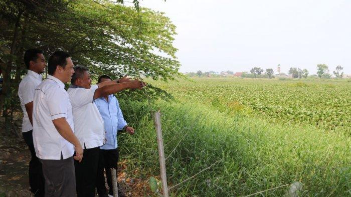 Pemko Medan Rencanakan Danau Griya Martubung Kembali Jadi Wisata Air ...