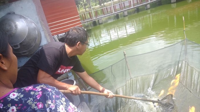 Ance Menangguk Ikan Untuk Menu Makanan Siang - Tribun-medan.com