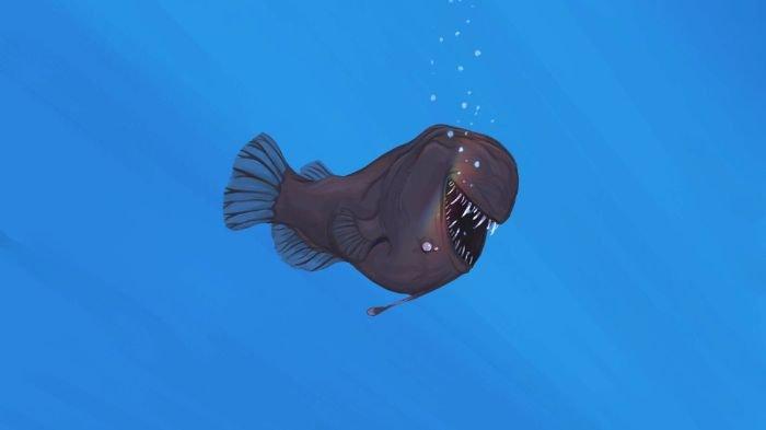 Mengenal Ikan Anglerfish Bungkuk, Monster Laut Hitam yang Mendadak Naik ...