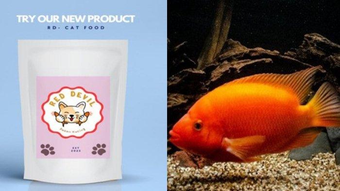 Ikan Setan Merah yang Jadi Hama Danau Toba Disulap Jadi Makanan Kucing ...