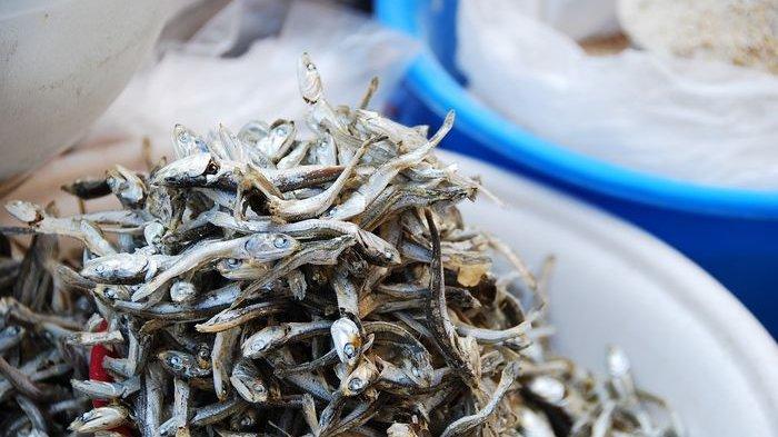 5 Jenis Ikan Mengandung Purin yang Bisa Memicu Asam Urat - Tribun-medan.com