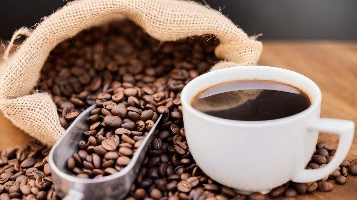 Kopi Paraiso Gold, Harganya Setara 5 Gram Emas, Sekali Minum Habis Rp 5 ...