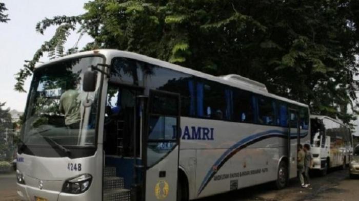 Sopir Bus Damri di Bandara Soekarno-Hatta Mogok, Minta Kenek Bus ...