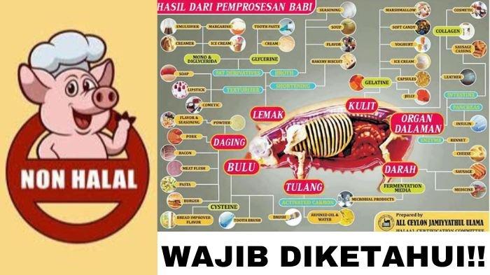 33 Nama Lain Daging Babi pada Makanan yang Harus Kamu Ketahui Beserta ...