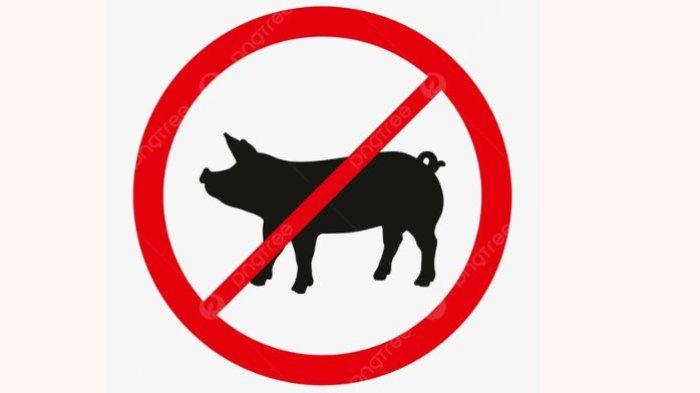 Daftar Makanan Bersertifikat Halal Tapi Mengandung Babi yang Baru ...