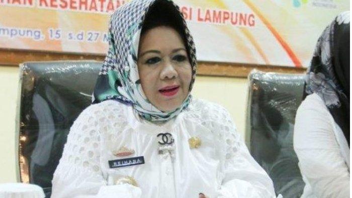 Reihana Jabat Kadinkes Lampung 14 Tahun Lamanya, Begini Penjelasan BKN - Tribun-medan.com