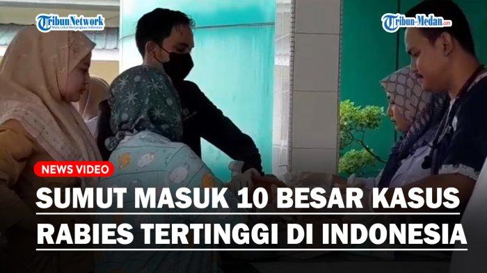 Sumut Masuk 10 Besar Kasus Rabies Tertinggi di Indonesia, Ada 101 Kasus ...
