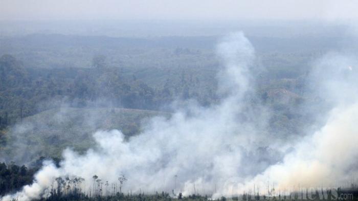 Titik Api Meluas, Puluhan Hektare Lahan di Riau Terbakar, Pemerintah ...