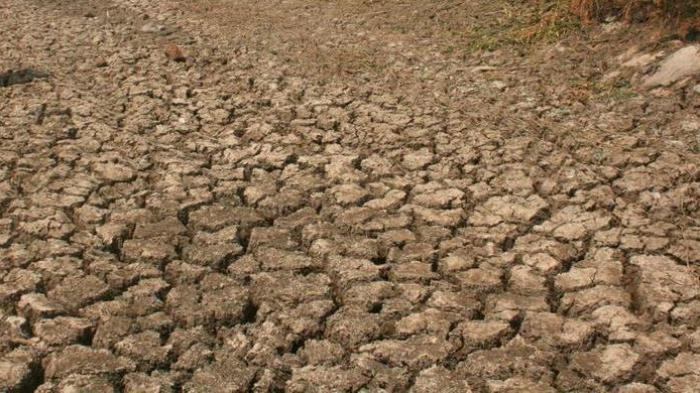 Musim Kemarau di Medan Sampai Pertengahan Agustus - Tribun-medan.com