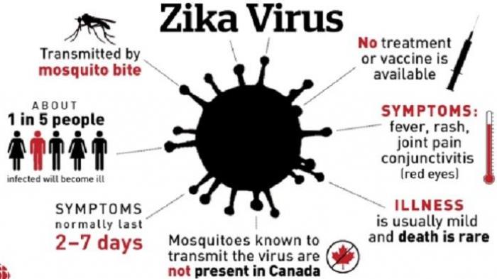 Tersebar di Beberapa Negara, Tapi Virus Zika Gagal Merebak di Indonesia ...