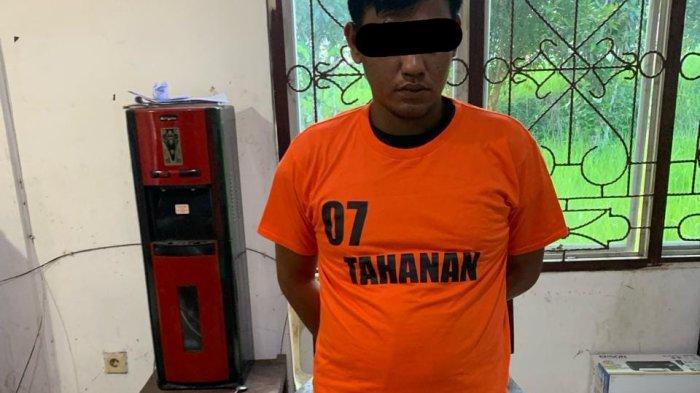 Penangkapan Pengedar Narkoba di Simalungun, Polisi Amankan Sabu dan Ganja - Tribun-medan.com