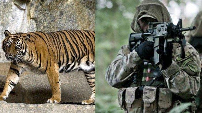 Cerita Den Harin, Pasukan Penjaga Terakhir Soekarno, Lebih Kuat dari ...