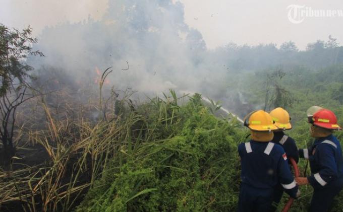 Hati-hati Sumatera Utara Punya 21 Titik Api, Suhunya Lebih dari 40 ...