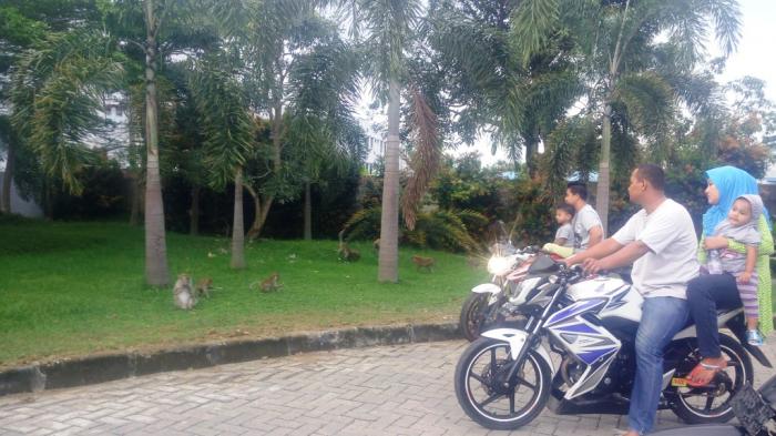 Taman dan Lapangan CBD Pilihan Tepat Rekreasi bagi Keluarga Anda ...