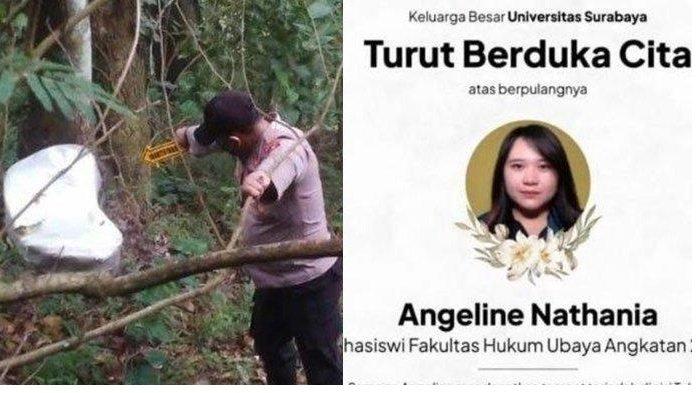 Terungkap Motif Pembunuhan Angeline Nathania, Mahasiswi Mayatnya Dalam ...