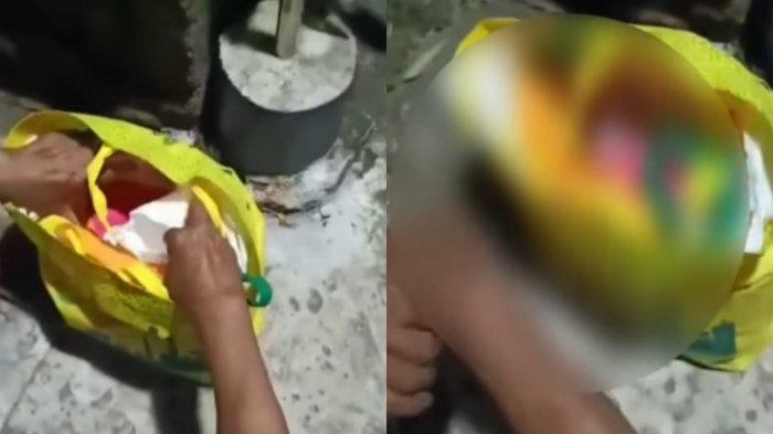 VIRAL Dikira Bangkai Tikus, Ternyata di Dalam Kantong Plastik Ada Mayat Bayi - Halaman all ...