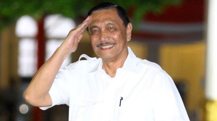 DAFTAR Kekayaan Luhut Binsar Pandjaitan, Mulai dari Tanah di Tapanuli ...