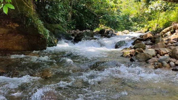 Nikmati Pemandian Alam di Batu Katak Bahorok, Tempat Wisata di Langkat ...