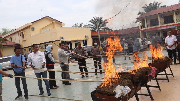 Kapolres Langkat Terus Perangi Peredaran Narkoba, Sejumlah Barang Bukti Ganja dan Sabu ...
