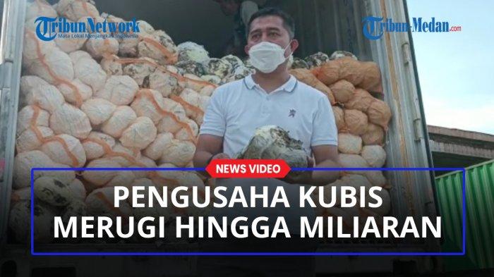 Pengusaha Kubis Rugi Hingga Rp 2.4 Miliar Akibat Penahanan Kapal MV Mathu Bhum - Tribun-medan.com