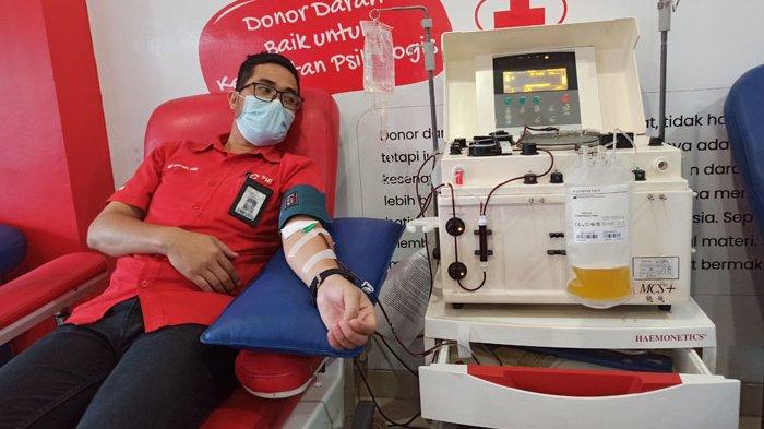 Lakukan Pendonoran Plasma Konvalesen, PMI Medan Berhasil Simpan 200 CC ...