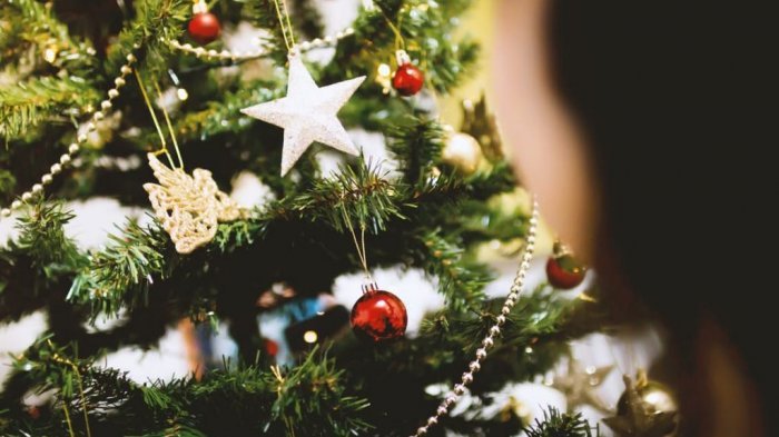 Tahukah Kamu Kenapa Merah dan Hijau Jadi Warna Khas di Natal? Begini ...