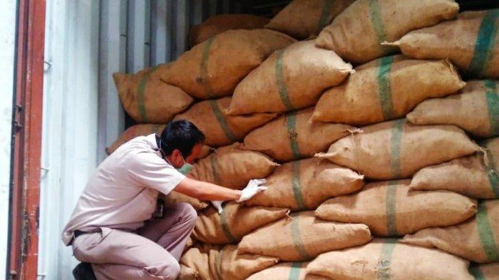 Produk Olahan Daun Gambir Sumut Terus Meroket di Pasar Asia - Tribun ...