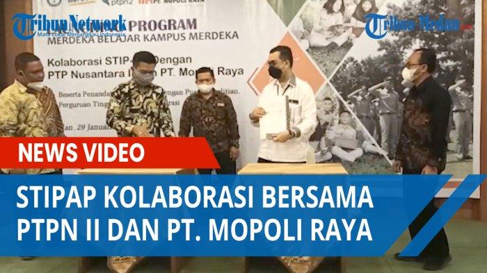 Program Merdeka Belajar Kampus Merdeka, STIPAP Kolaborasi Bersama PTPN ...